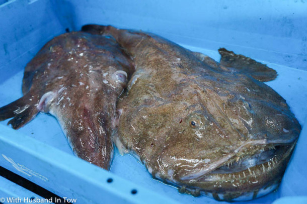Palamos Fish Market and Auction - Spain Food Travel Blog